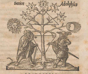 o 9 a » Tree Of Wyrd